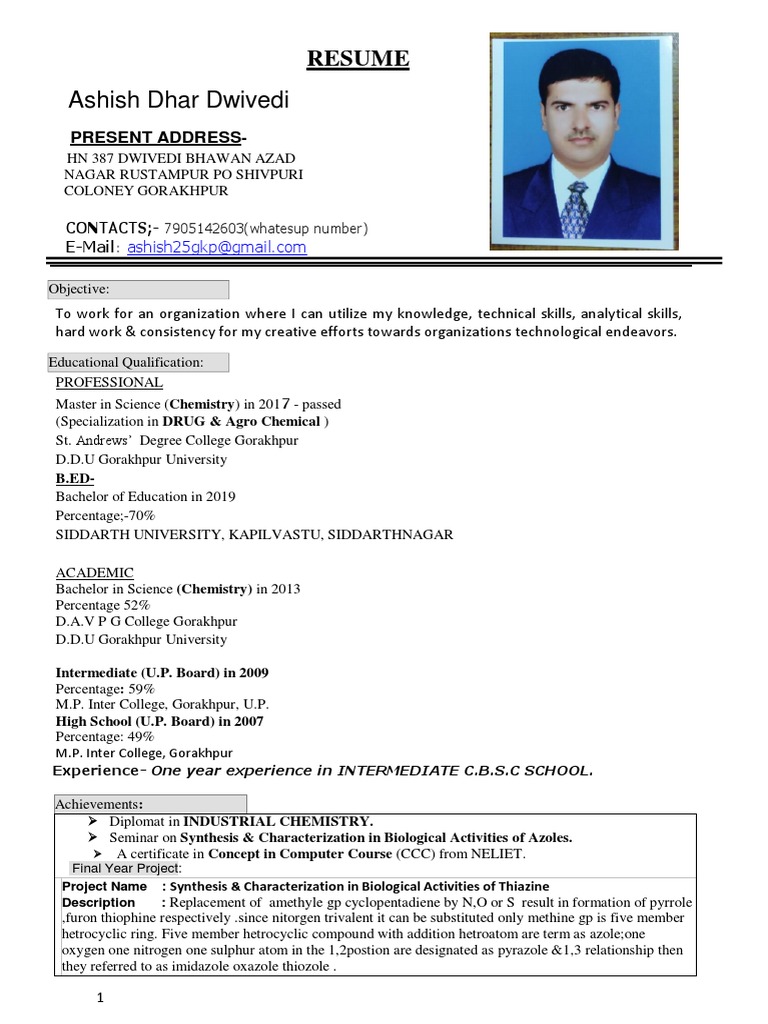 Updated Resume | PDF