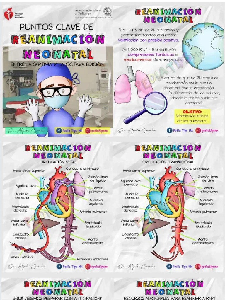 RCP Neonatal 8va Edicion - Compress | PDF