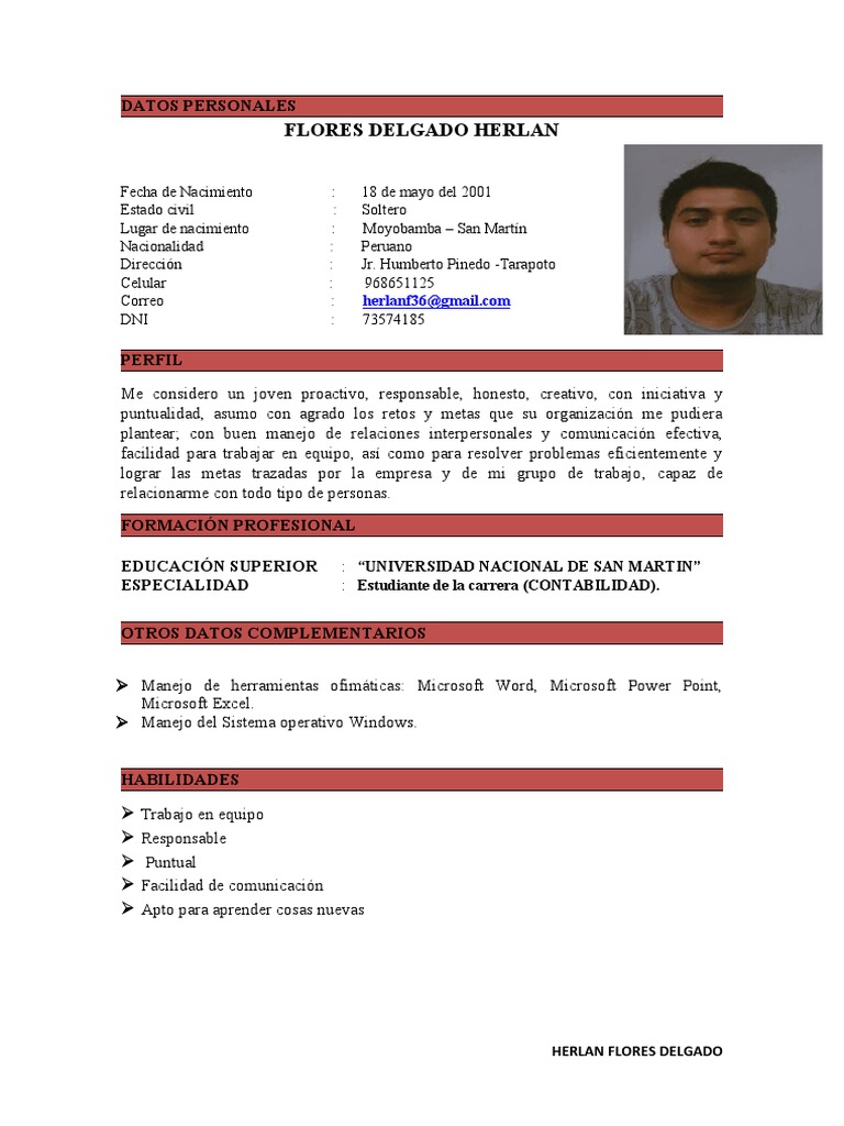 Perfil Profesional de Herlan Flores Delgado | PDF