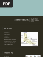 Comparativa: Ángulos de Meary y Costa-Bartani | PDF | Pie | Sistema ...