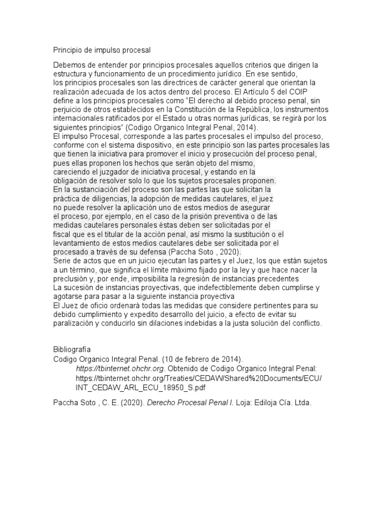 El Principio de Impulso Procesal | PDF