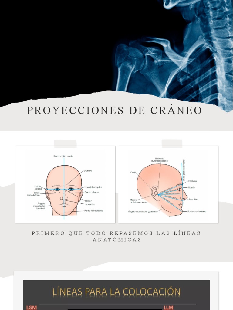 Proyecciones de Cráneo | PDF | Cráneo | Cabeza y cuello humanos