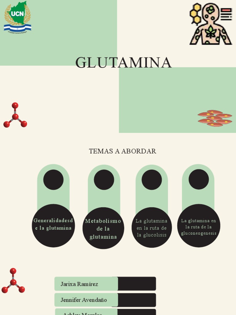 Glutamina | PDF