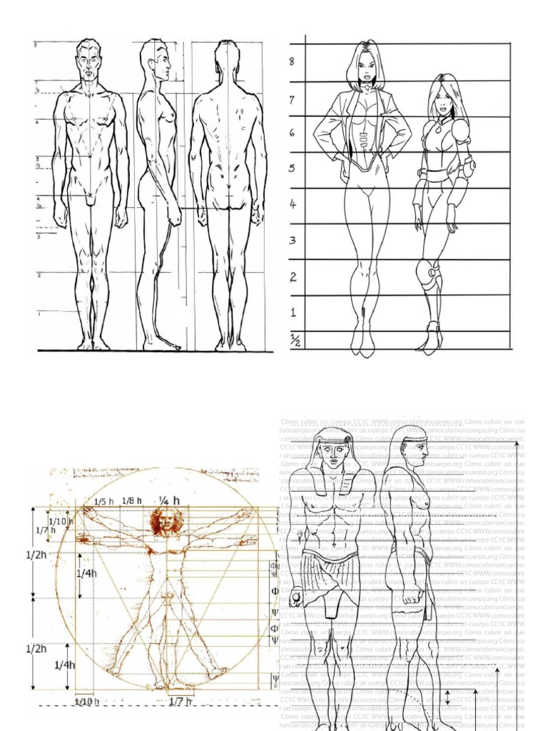Canon Humano | PDF