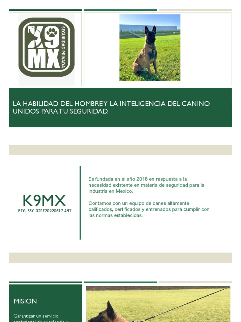Presentacion K9 | PDF