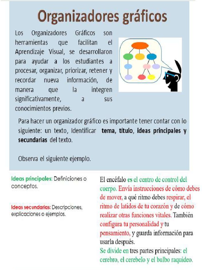 Cómo Hacer Un Organizador Gráfico | PDF