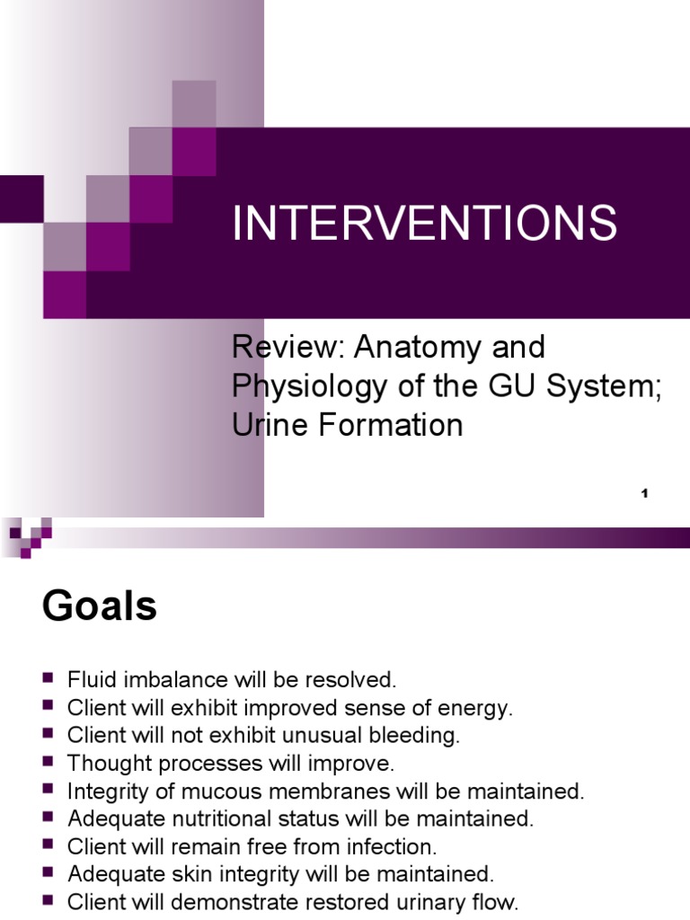 Interventions: Review: Anatomy and Physiology of The GU System Urine ...