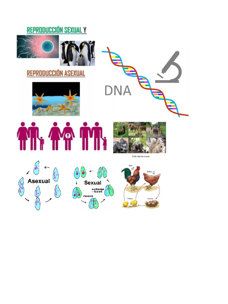 Biologia Sexual Pdf