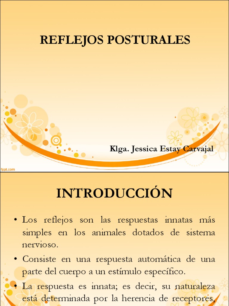 CLASE 6 - Reflejos Posturales | PDF | Anatomía | Anatomía humana