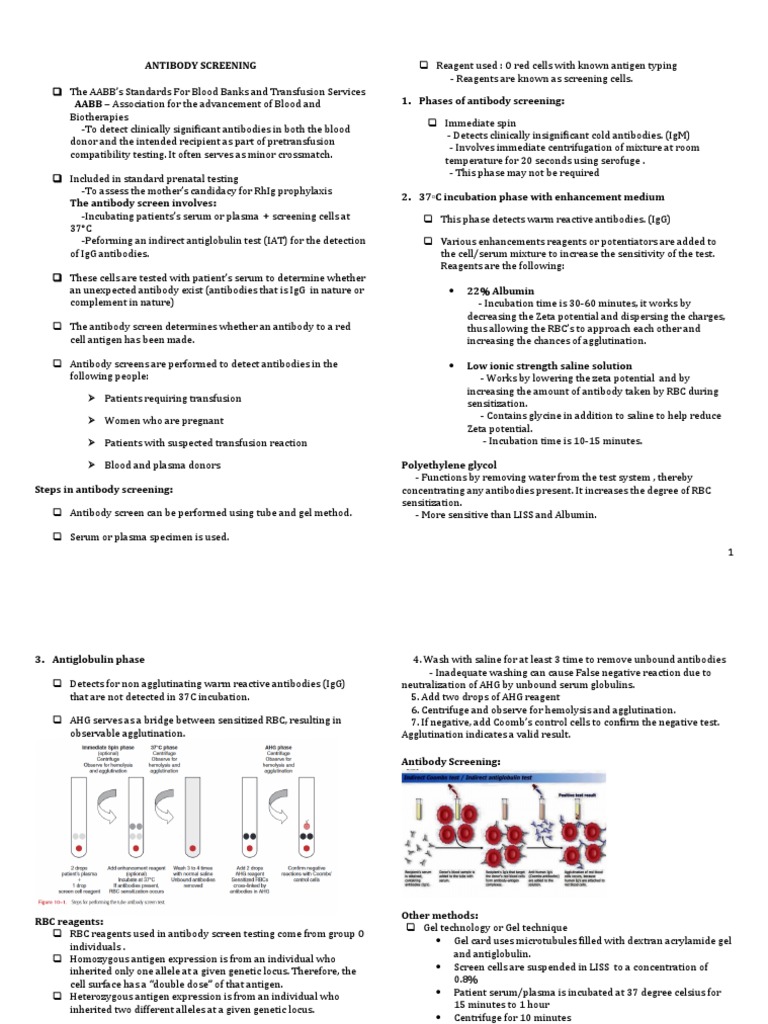 Antibody Screening Methods and Procedures | PDF | Hematology | Blood