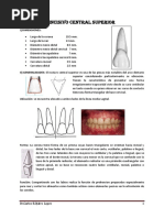 Primer Premolar Inferior | PDF | Ramas de Odontología | Anatomia dental