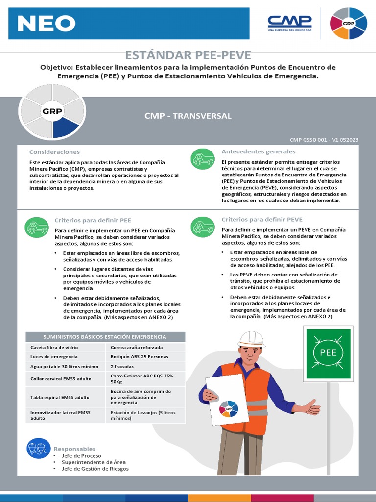 CMP GSSO 001 - Estándar PEE-PEVE | PDF