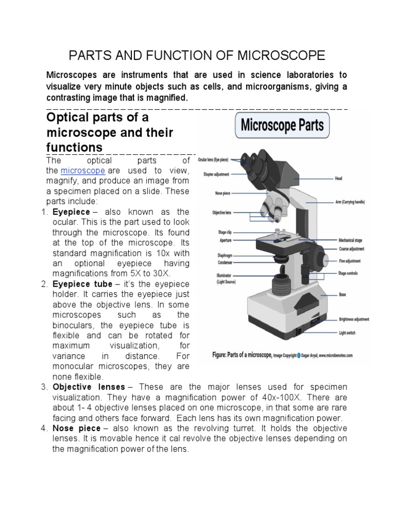 Parts and Function of Microscope | PDF