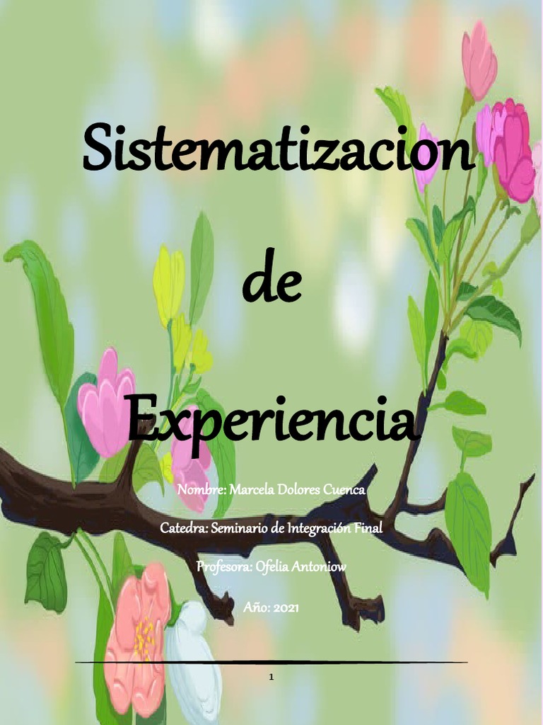 Sistematizacion de Experiencia | PDF | Trabajo Social | Experiencia