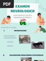 Anatomía de las Falanges de la Mano | PDF | Mano | Articulación