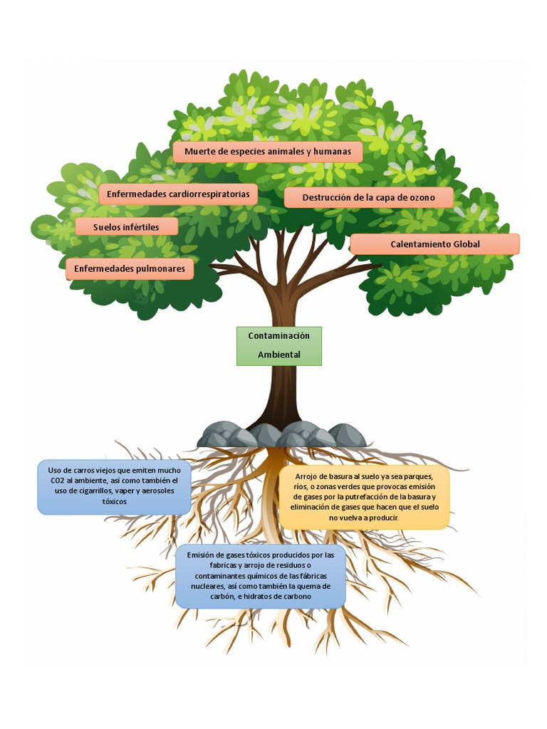 Arbol | PDF