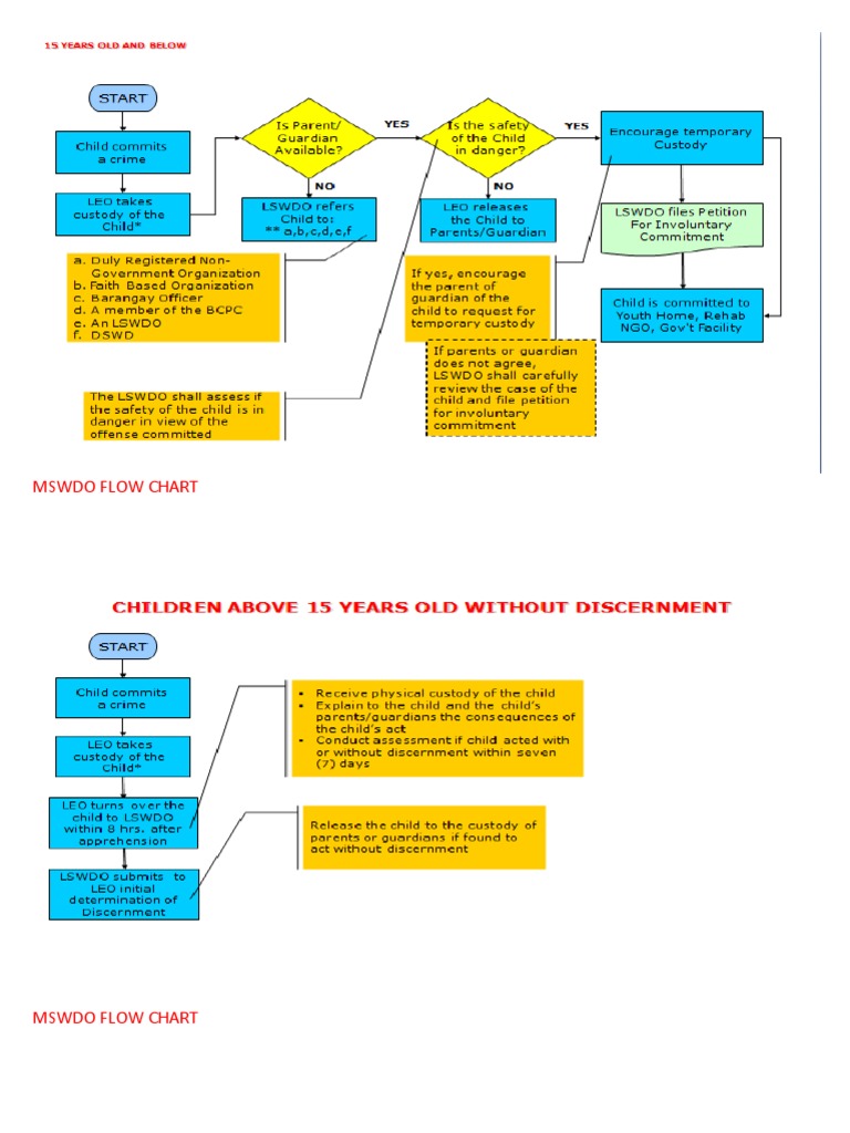 Mswdo Flow Chart | PDF | Business | Technology & Engineering