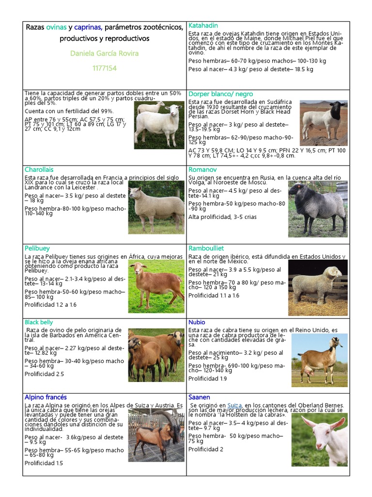 Razas de Ovejas y Cabras: Parámetros Zootécnicos | PDF