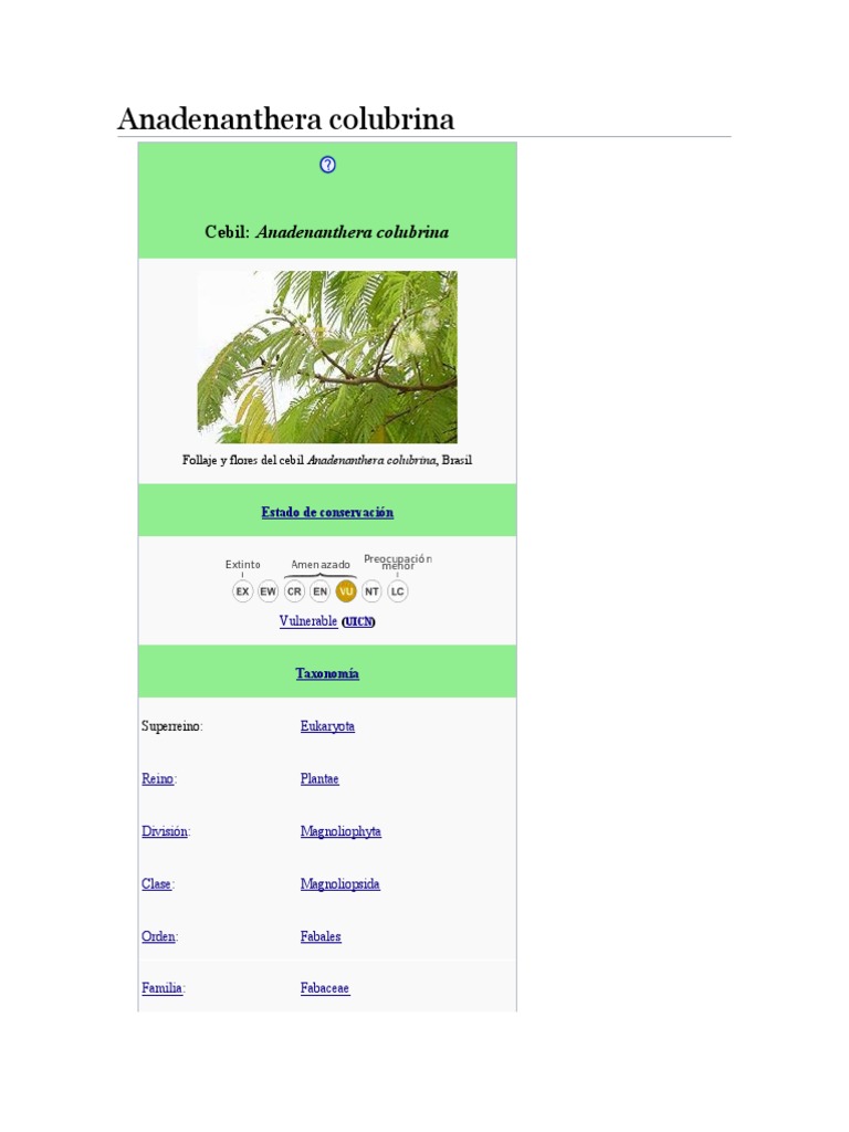 Anadenanthera Colubrina Cebil | PDF | Arboles | Etnobotánica
