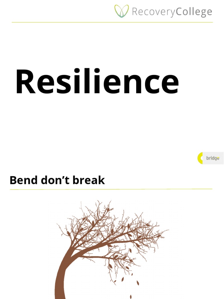 Resilience Workbook | PDF