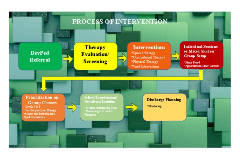 Comprehensive Therapy Process Guide | PDF