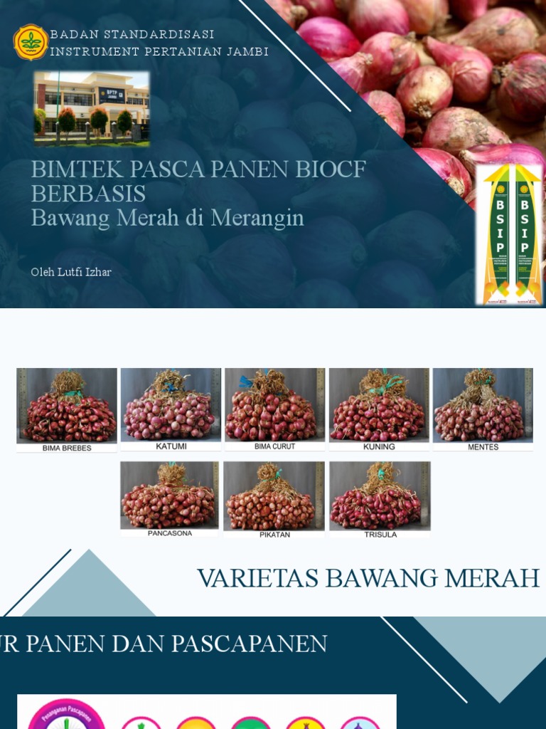 Pink and Blue Doodle Playful Self Introduction All About Me ...