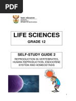 Shop Miss Angler | PDF