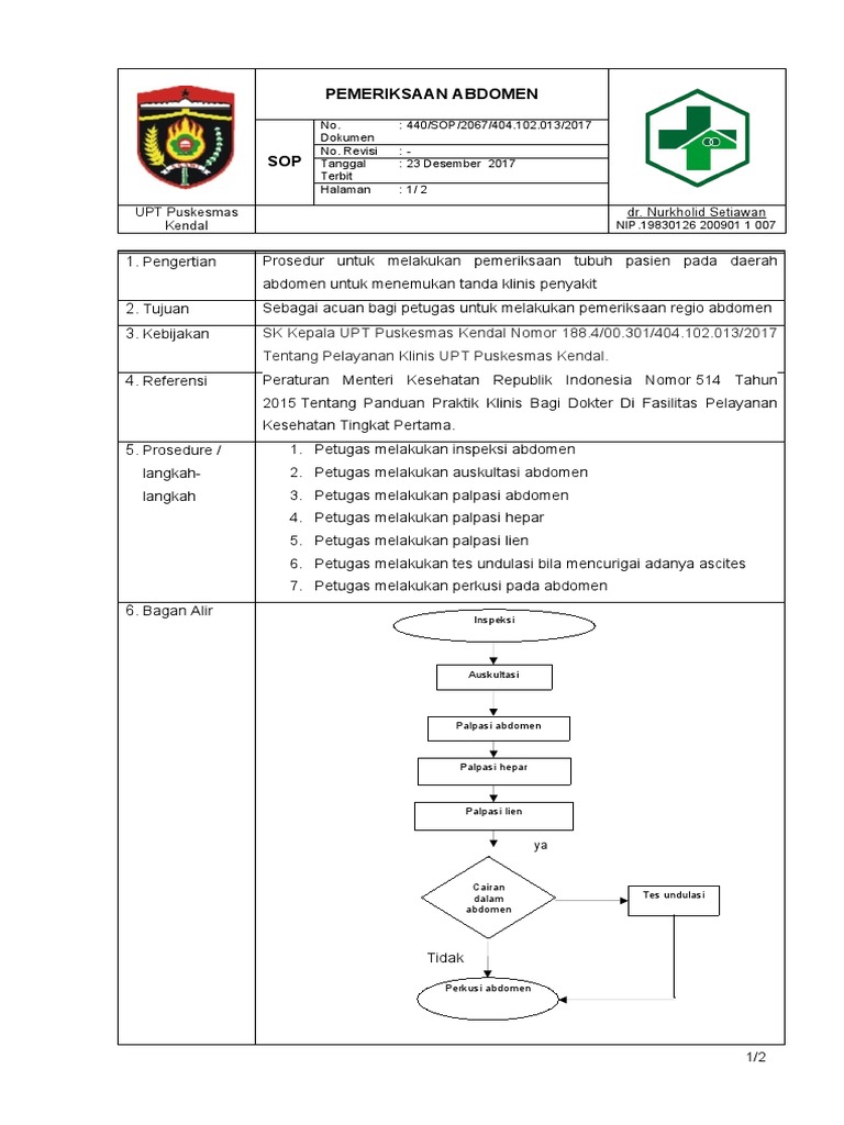 Pemeriksaan Abdomen | PDF