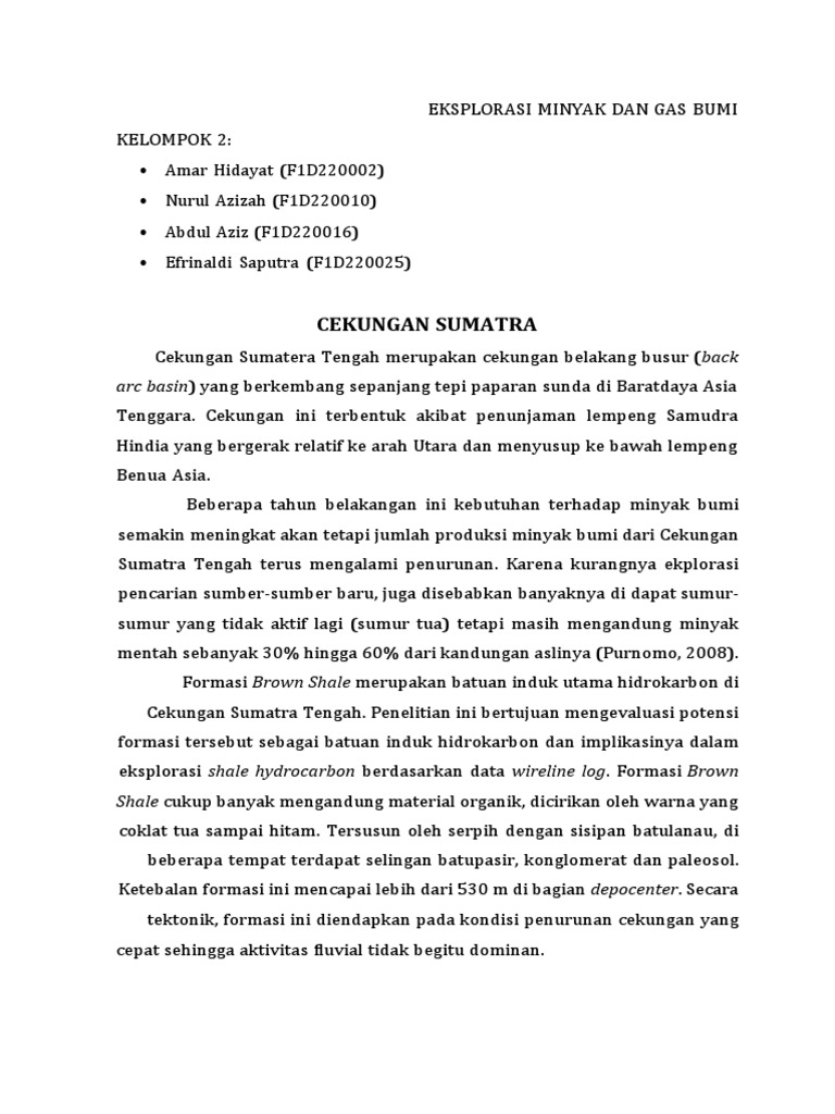 Cekungan Sumatra Tengah - Kelompok 2 - Eks - Migas | PDF