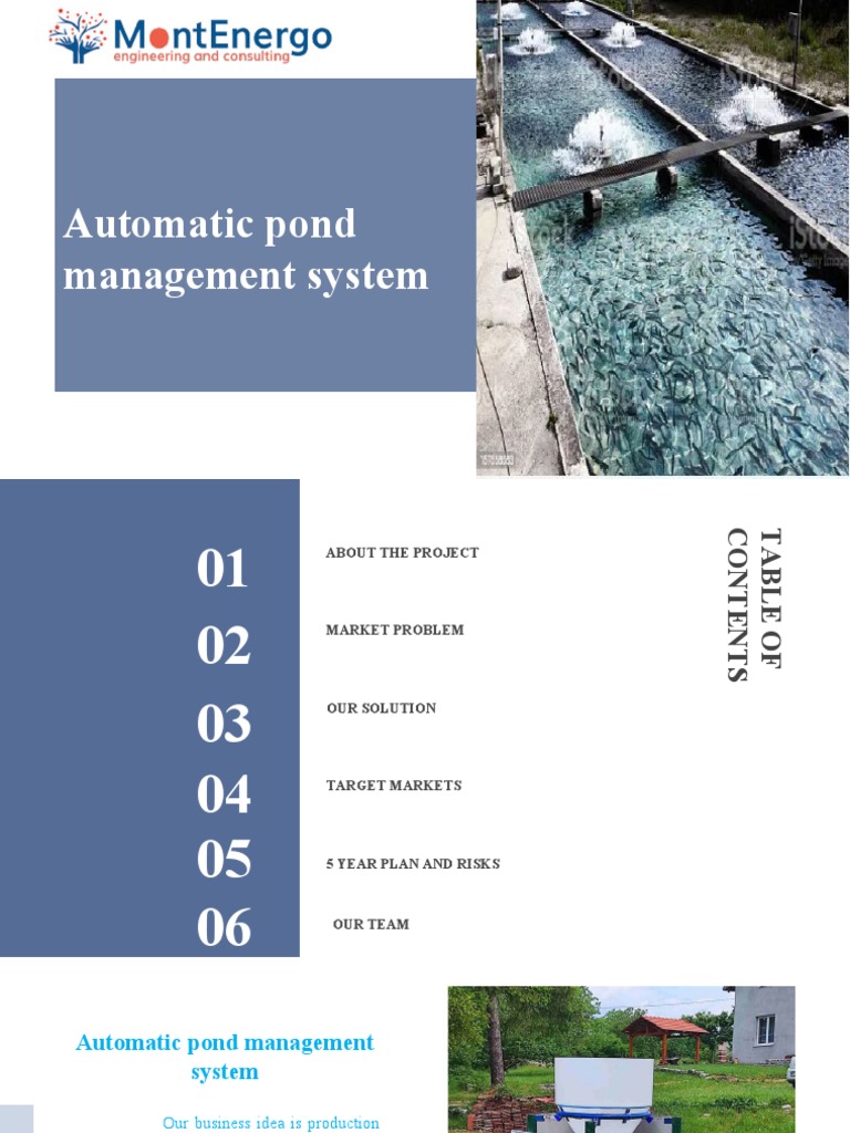Automatic Pond Management System | PDF