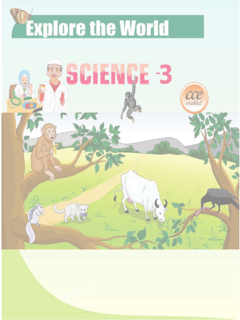 Science Class 3 Term 1 Min | PDF | Curriculum | Teachers