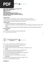 Interpretare Teste Initiale | PDF