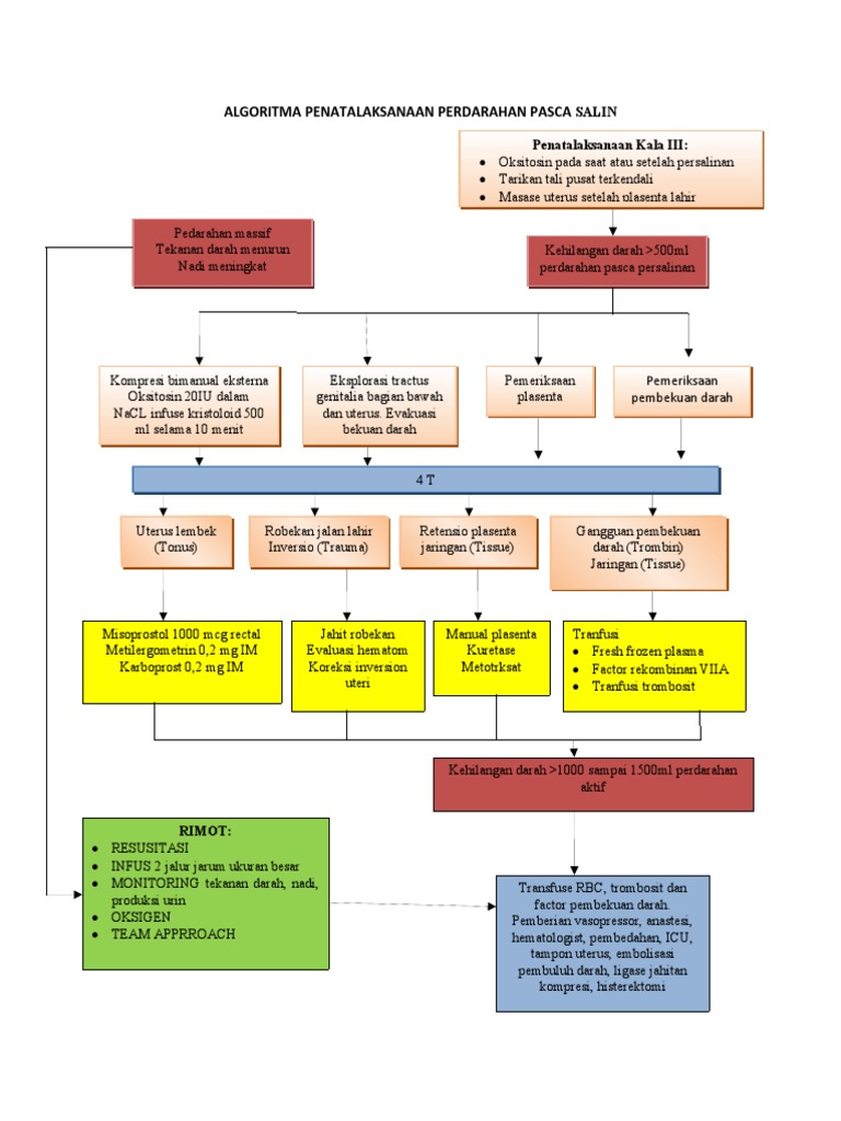 Algoritma Penanganan Perdarahan Postpartum | PDF