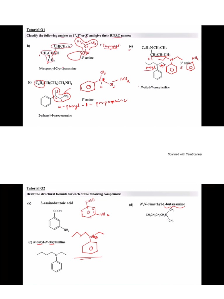 Amine | PDF