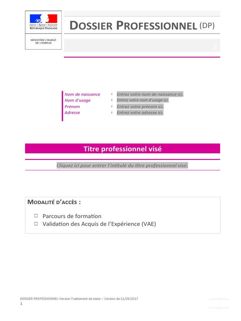 Dossier Professionnel Version Traitement de Texte | PDF