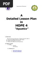 Air and Water Resistance Worksheet | PDF | Parachute