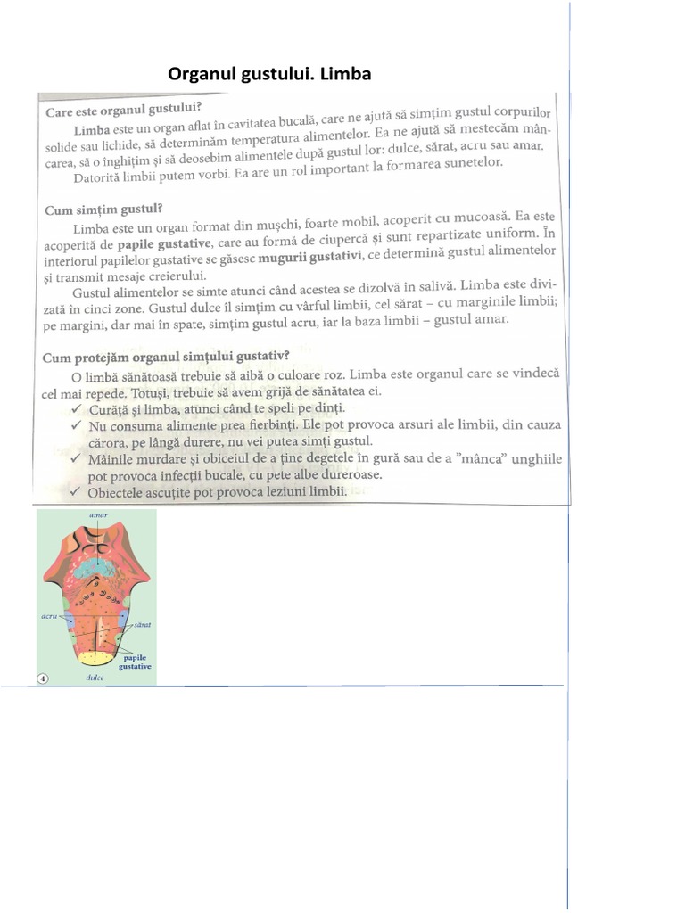 Tema 8, Organul Gustului. Limba | PDF