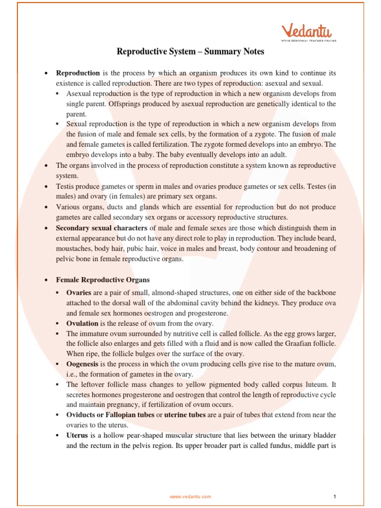 Class 10 Biology Chapter 11 Revision Notes | PDF | Uterus | Menstrual Cycle