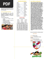 Inserto Spinreact Creatinina | PDF | Creatinina | Química