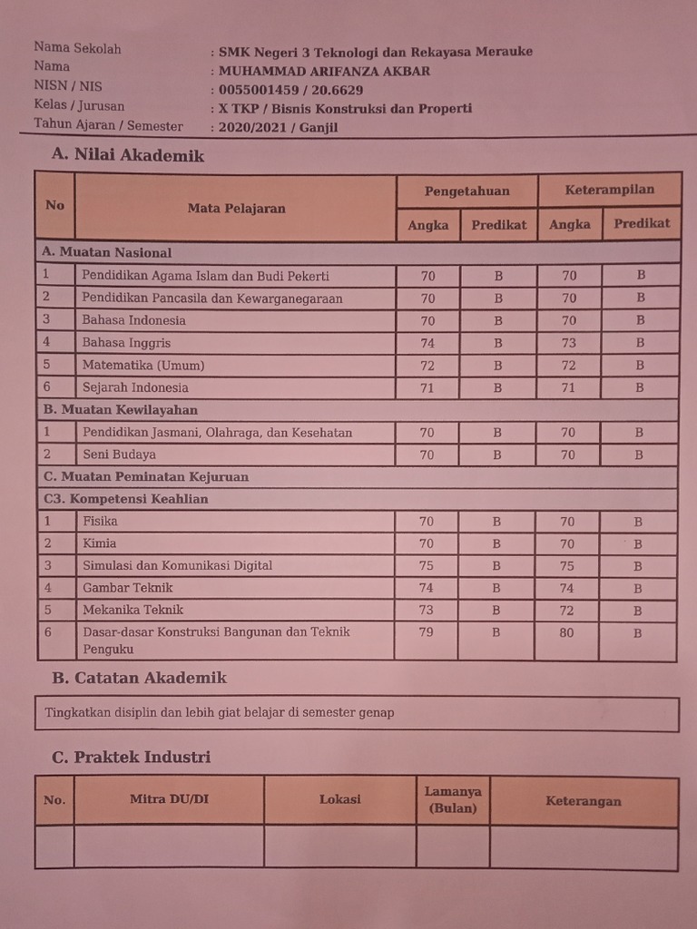 Scan Raport 1-6 | PDF