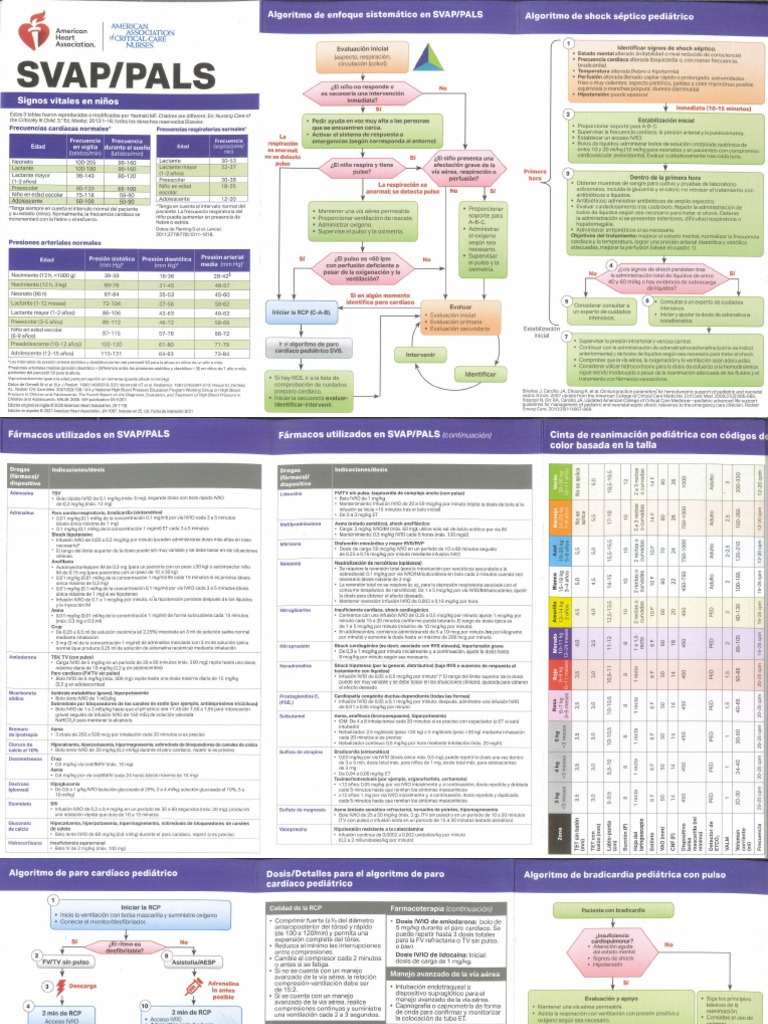 PALS Libro Del Provedor 2020-Páginas-344-347 | PDF