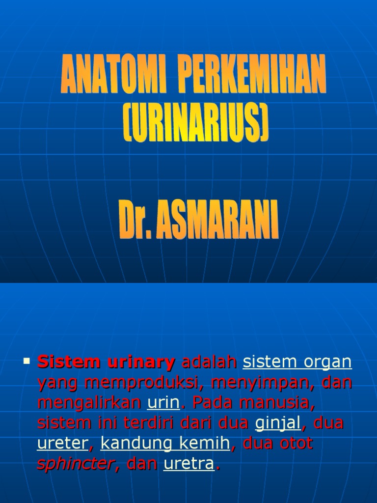 Struktur dan Fungsi Sistem Urinari | PDF