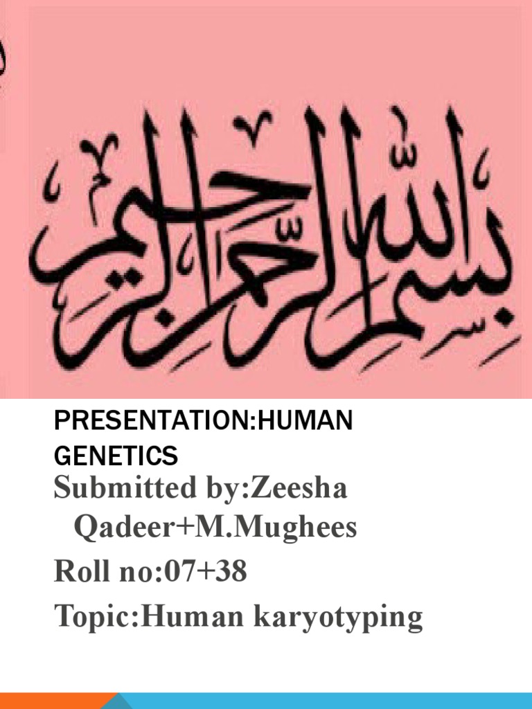 Human Genetics Ppt | PDF