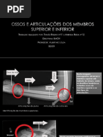 Cíngulo Do Membro Superior | PDF | Membros (anatomia) | Anatomia humana