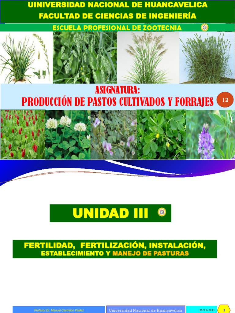 Manejo de Pastos y Forrajes | PDF | Siembra | Pasto