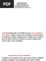 Morfologia dos Dentes Permanentes | PDF | Dente humano | Áreas da ...