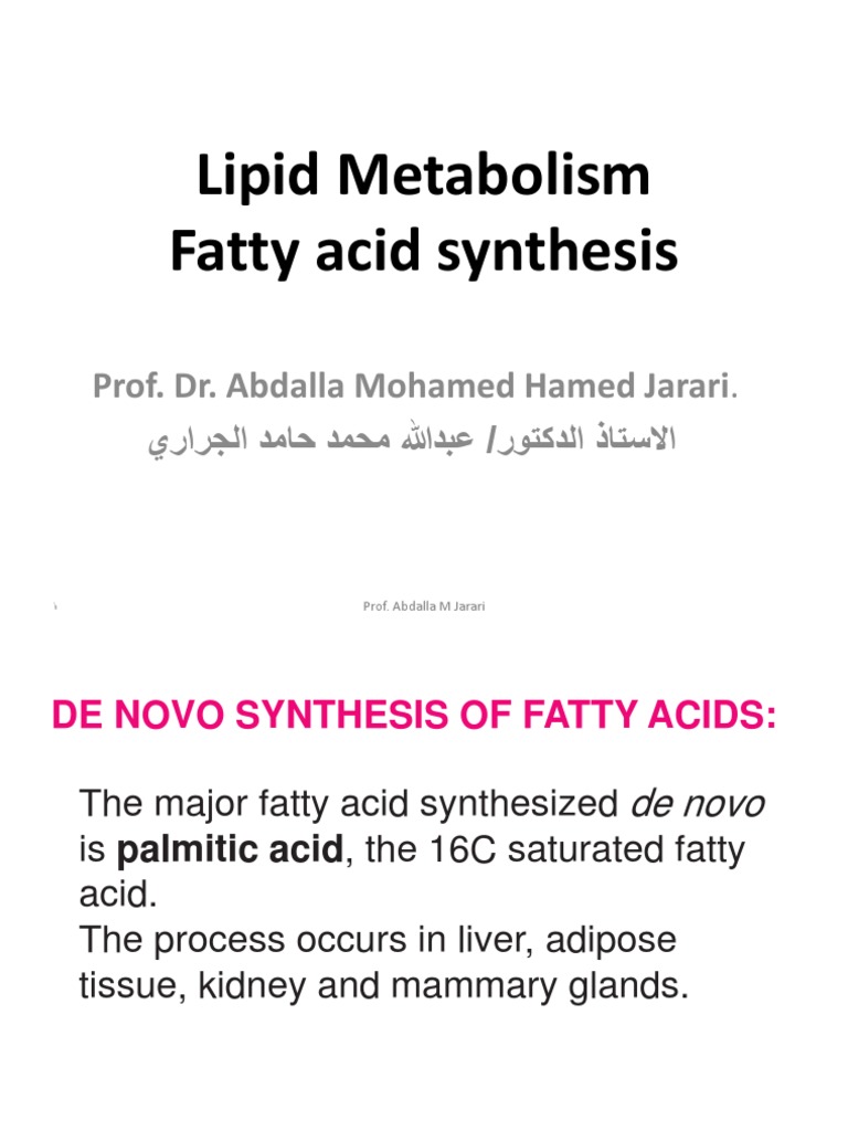 Fatty Acid Synthesis by Prof DR Abdalla Jarari 2nd Year For VIDEOS ...