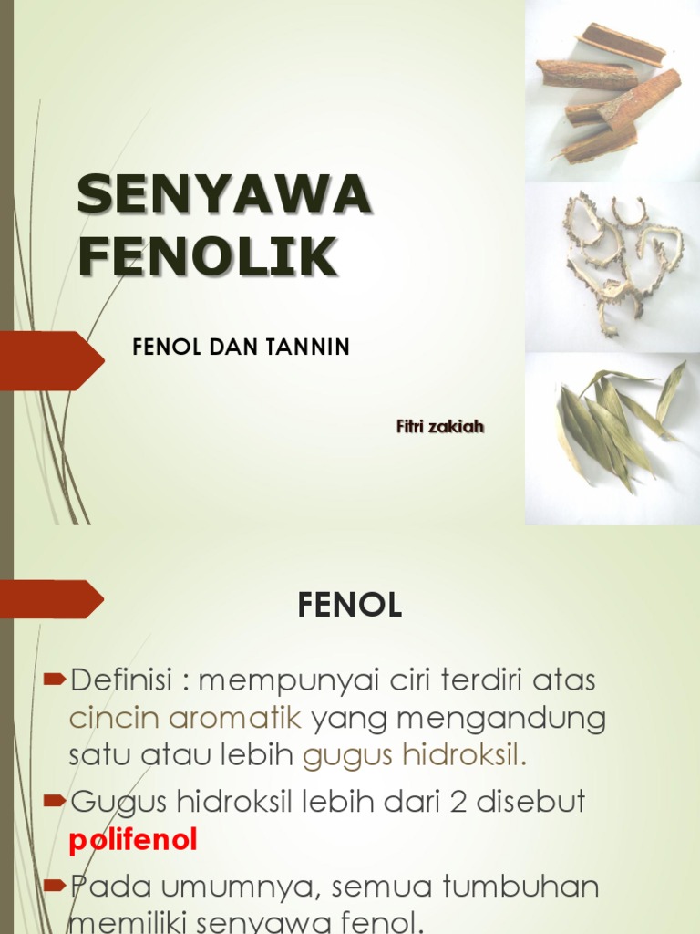 FK 6 Senyawa Fenolik Dan Tannin | PDF