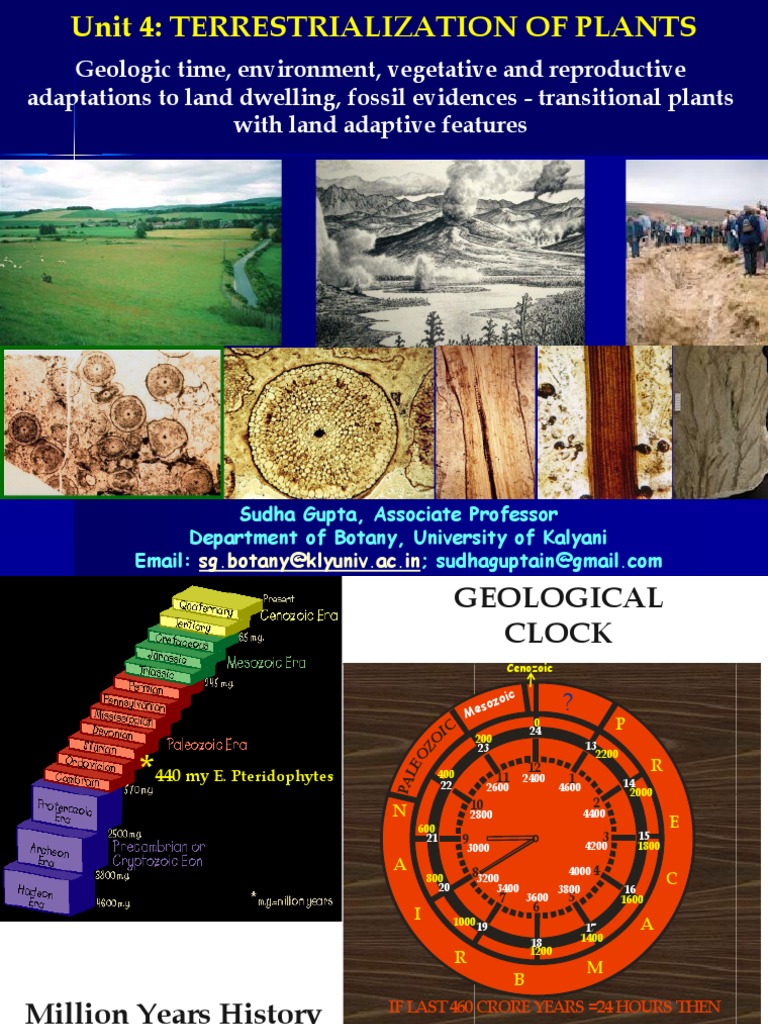 Land Colonization of Plants | PDF | Leaf | Botany