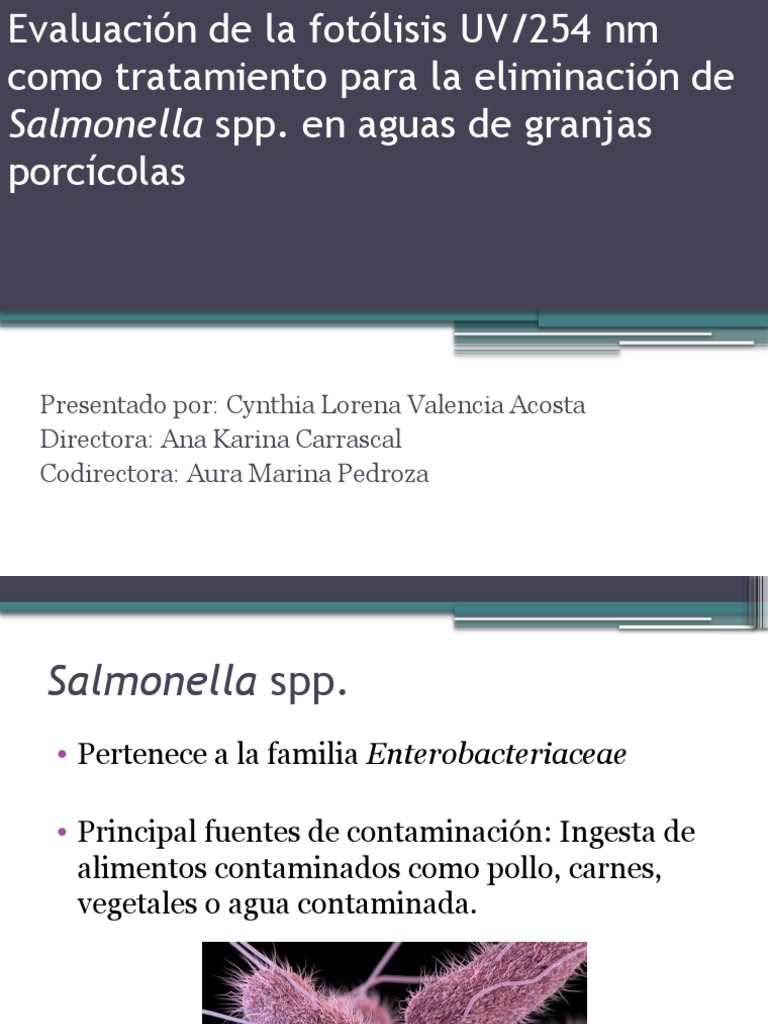Evaluación de La Fotólisis UV | PDF